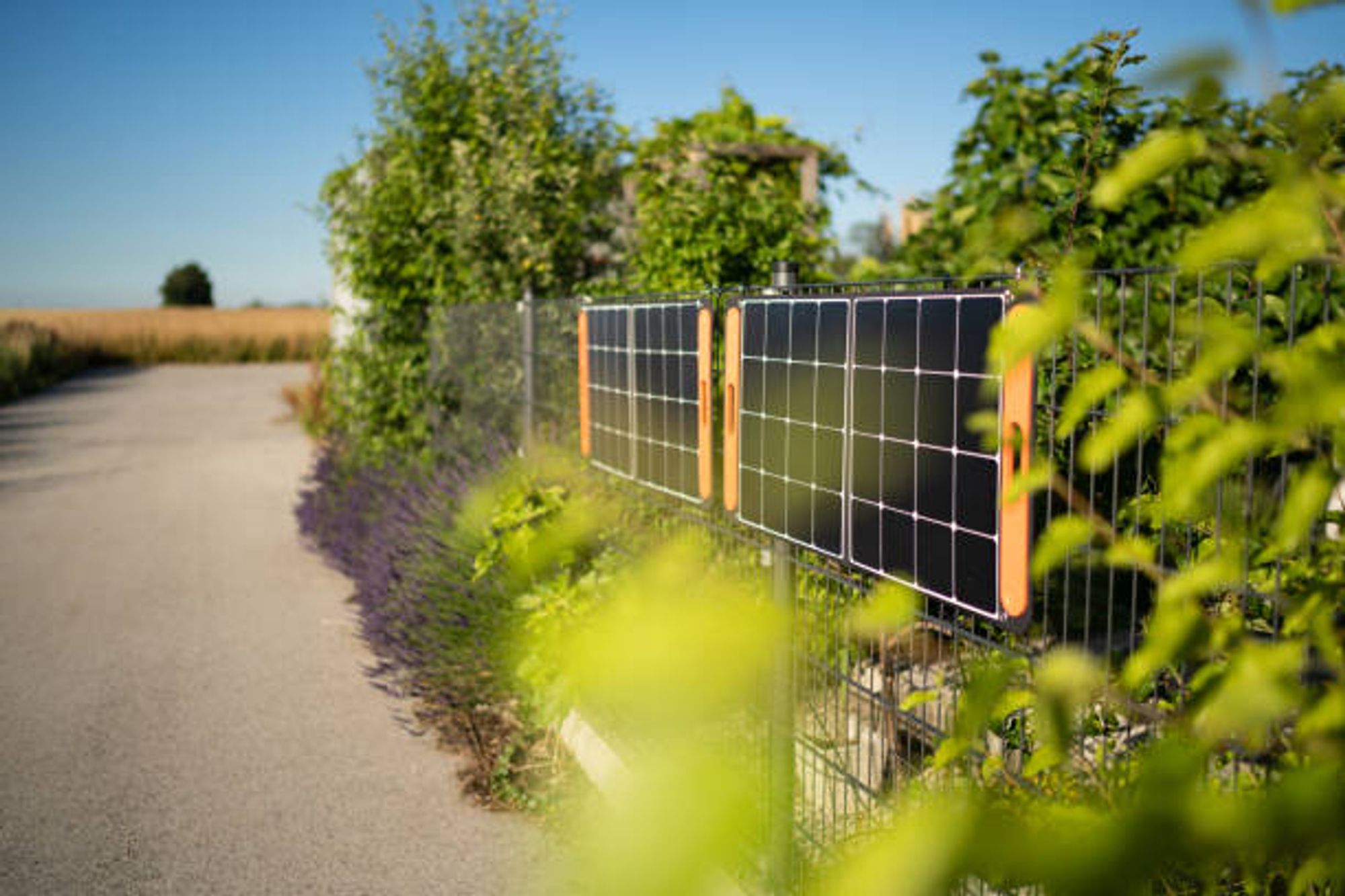 Solar Electric Fence: The Ultimate Buying Guide